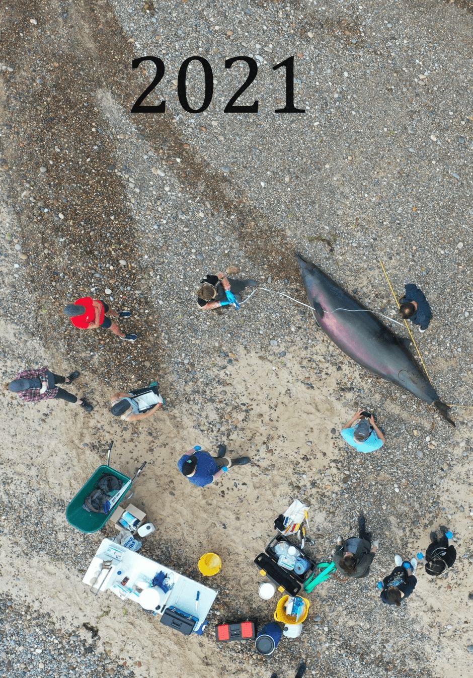 Published Reports - SMASS